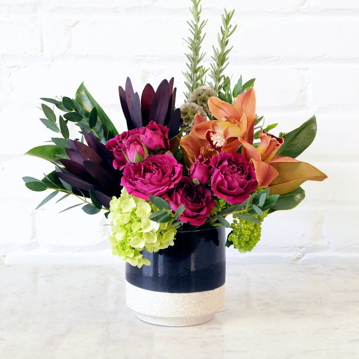 Duke – Spruce Flowers and Events